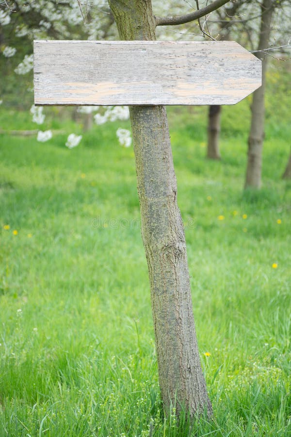 Wooden sign stock image. Image of meadow, advertising - 39900455