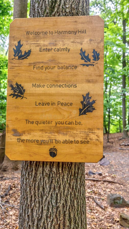 Wooden sign in the woods stock photo. Image of texture - 264785432