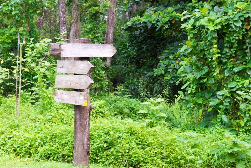 Wooden Signage in the Forest Stock Image - Image of road, outdoors ...