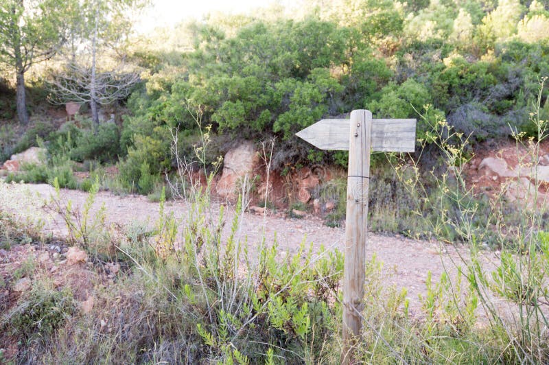 Wooden Signage Indicating a Rural Footpath Stock Photo - Image of ...