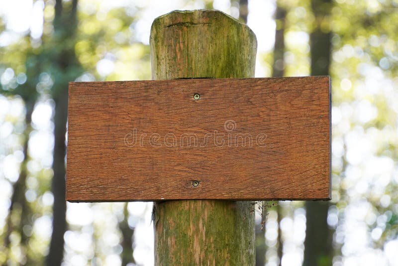 Wooden Signboard in the Forest. Blank. Stock Image - Image of signpost ...