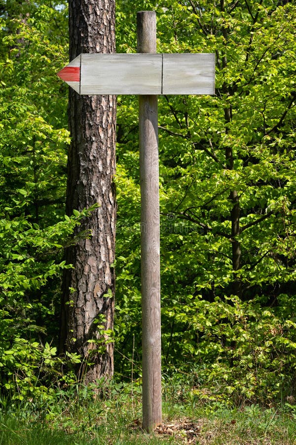 Signpost in the forest stock image. Image of signpost - 27410603