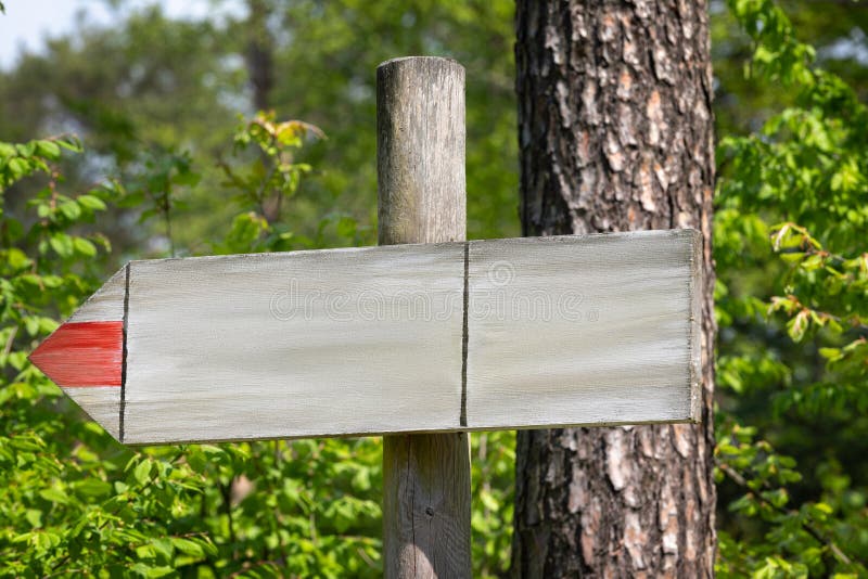 Signpost in the forest stock image. Image of signpost - 27410603