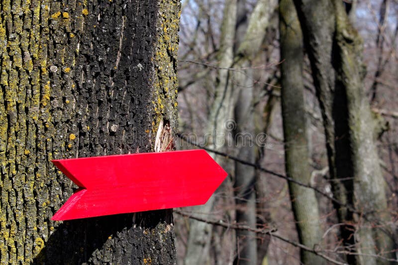 Wooden red signpost stock image. Image of isolated, metaphor - 52738131