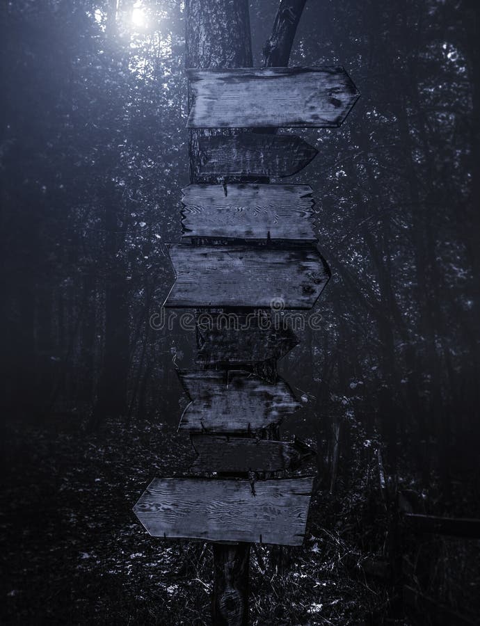 Wooden Signposts in the Forest Stock Image - Image of forest, crossroad ...