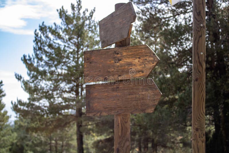 Wooden signs in the forest stock image. Image of hardwood - 163677909