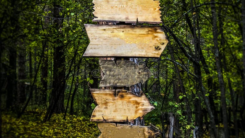 Wooden Signposts in the Forest Stock Footage - Video of tree, forest ...