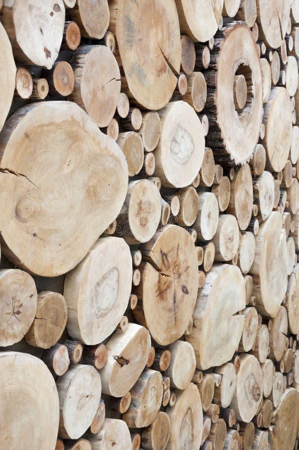 Wooden Slabs Wall.Set of Log Slices.Abstract Backdrop. Stock Image ...