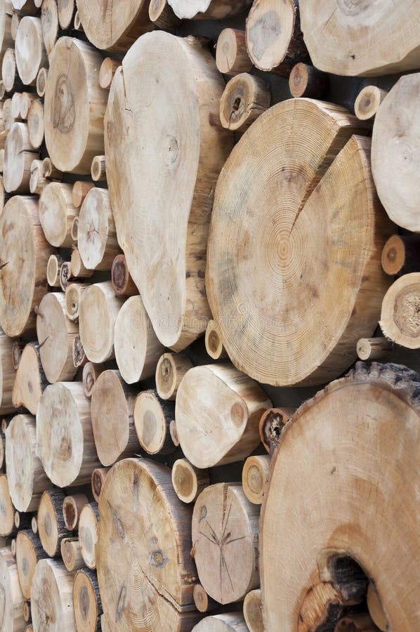 Wooden Slabs Wall.Set of Log Slices.Abstract Backdrop. Stock Image ...
