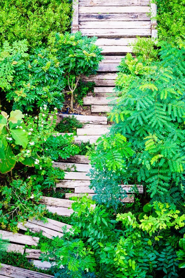 Wooden Sleepers Path in the Garden Stock Image - Image of botany ...