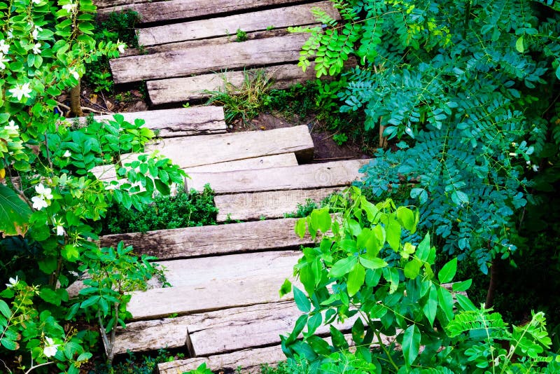 Wooden Sleepers Path in the Garden Stock Image - Image of botany ...