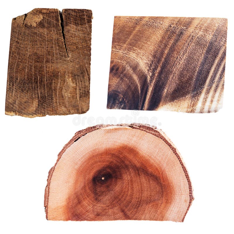 Wooden Slices stock photo. Image of industry, macro, rustic - 54424646