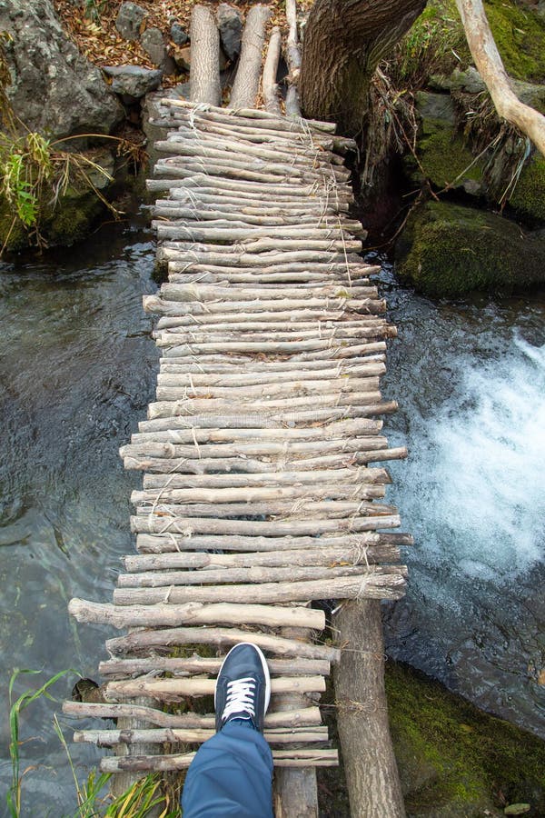 Wooden Small Bridge in Nature Stock Illustration - Illustration of ...