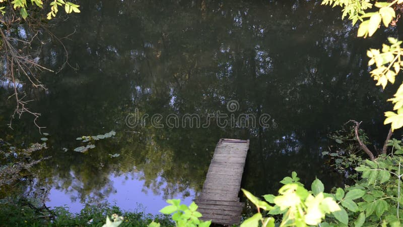 Wooden Small Platform on River. Stock Video - Video of meadow, green ...
