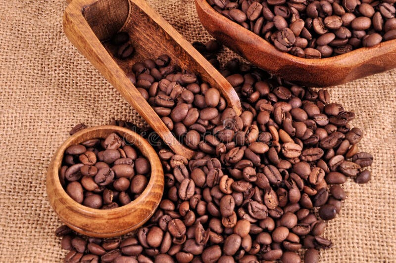 Wooden Spatula is Gaining Fresh Roasted Coffee Beans Stock Photo ...