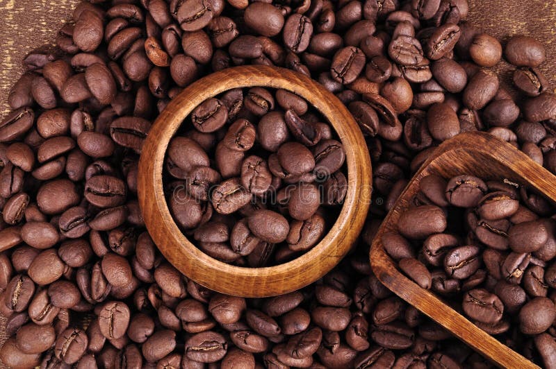 Wooden Spatula is Gaining Fresh Roasted Coffee Beans Stock Photo ...