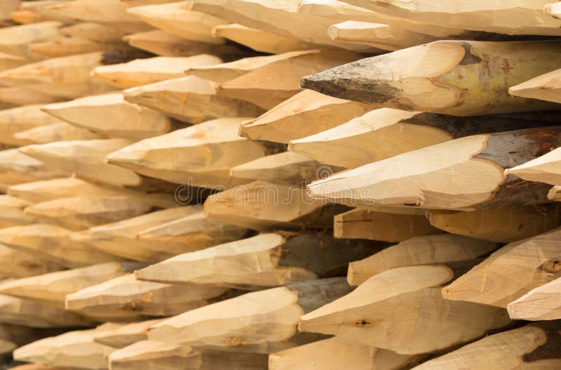 Sharp Wooden Spikes Stock Photos - Download 213 Royalty Free Photos