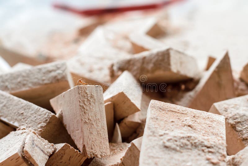 Wooden Splinter Cut and Sawdust Stock Photo - Image of wooden, grain ...