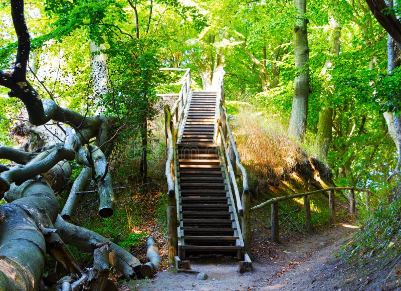 The Wooden Staircase in a Forest in Sunshine Stock Image - Image of ...