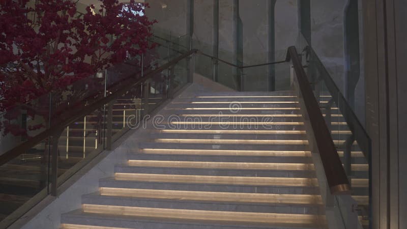 Wooden Staircase with a Glass Railing, Set Against a Backdrop of a Tree ...