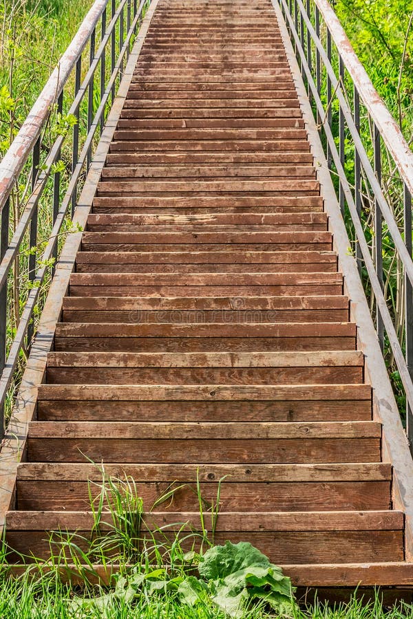 Wooden staircase going up stock photo. Image of ladder - 182487788