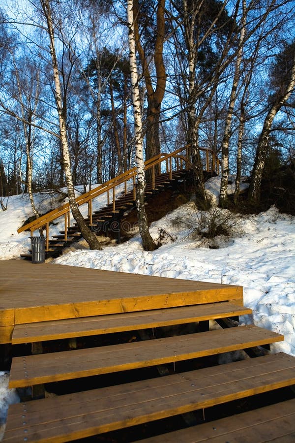 Wooden Staircase in the Spring Park. Stock Image - Image of tree ...