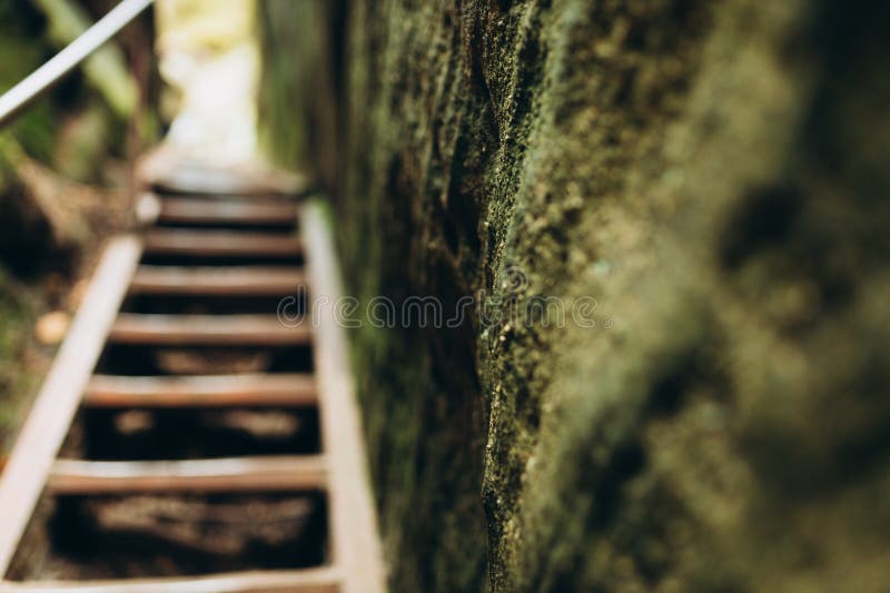 Wooden Staircase on a Trail at a Slope Stock Photo - Image of texture ...