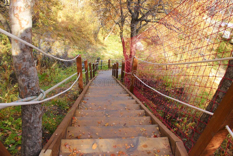 Wooden stairs in the fall stock photo. Image of yellow - 66387224
