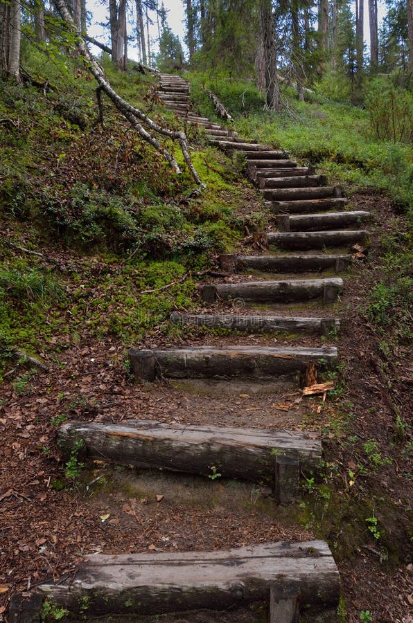 Wooden Stairs On Nature Hiking Trail In Forest, Finland. Stock Image ...