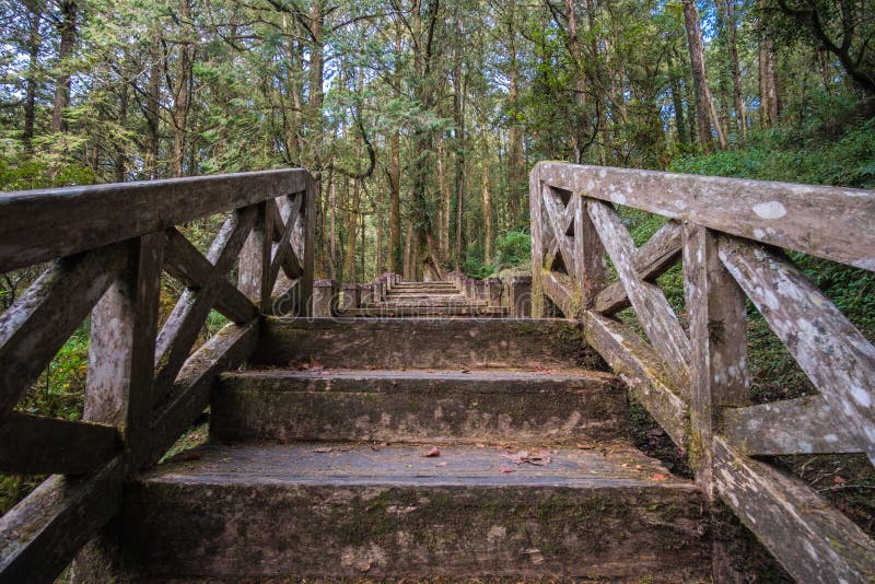 Wooden Stairs Have Difficult Obstacles To Walk Up. Stock Photo - Image ...