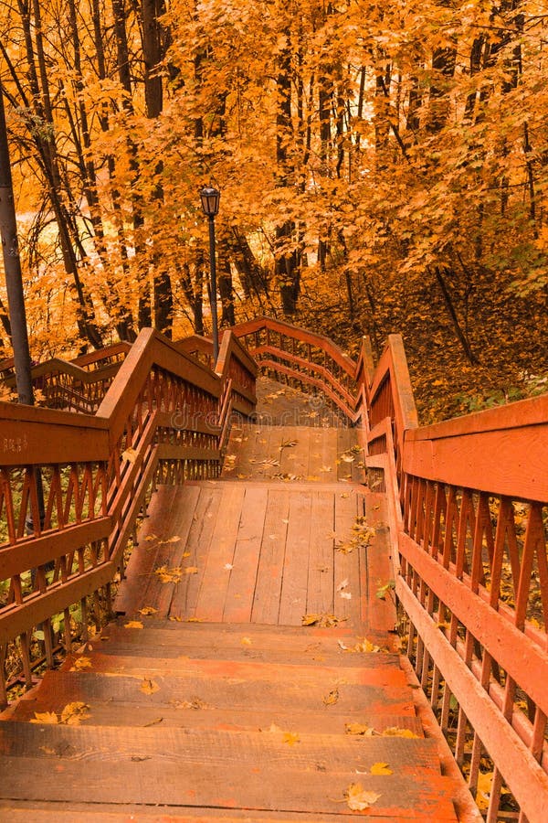 Wooden Stairs with Leaves in the Autumn Forest Stock Photo - Image of ...