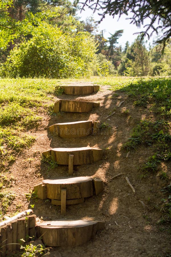 Wooden Stairs Made from Tree Trunks Stock Photo - Image of steps, woods ...
