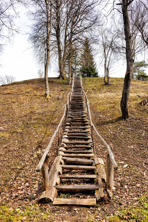 Wooden Stairs in the Spring in the Park Stock Image - Image of forest ...