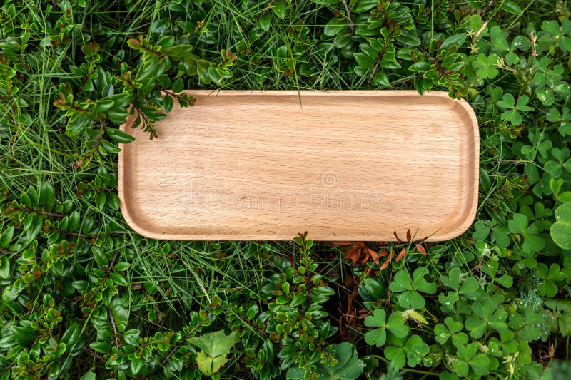 Wooden Stand on Green Grass. Empty Wooden Capacity Stock Image - Image ...