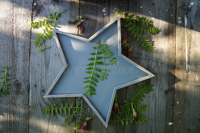 Wooden Star on a Table with Plants and Buds of Roses Stock Image ...