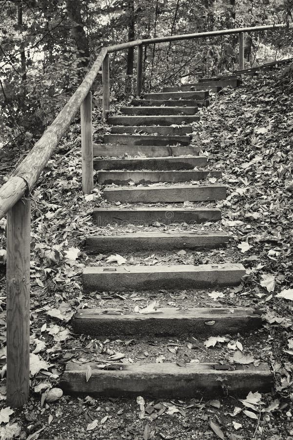 Wooden steps stock photo. Image of railing, footpath - 37717502