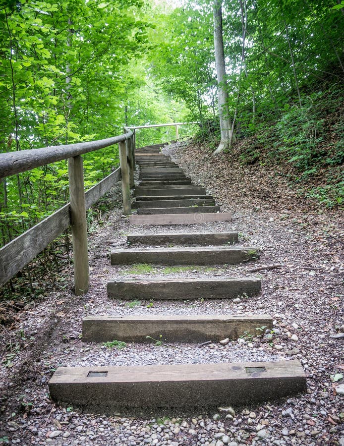 Wooden steps stock image. Image of footpath, single, curve - 30792315
