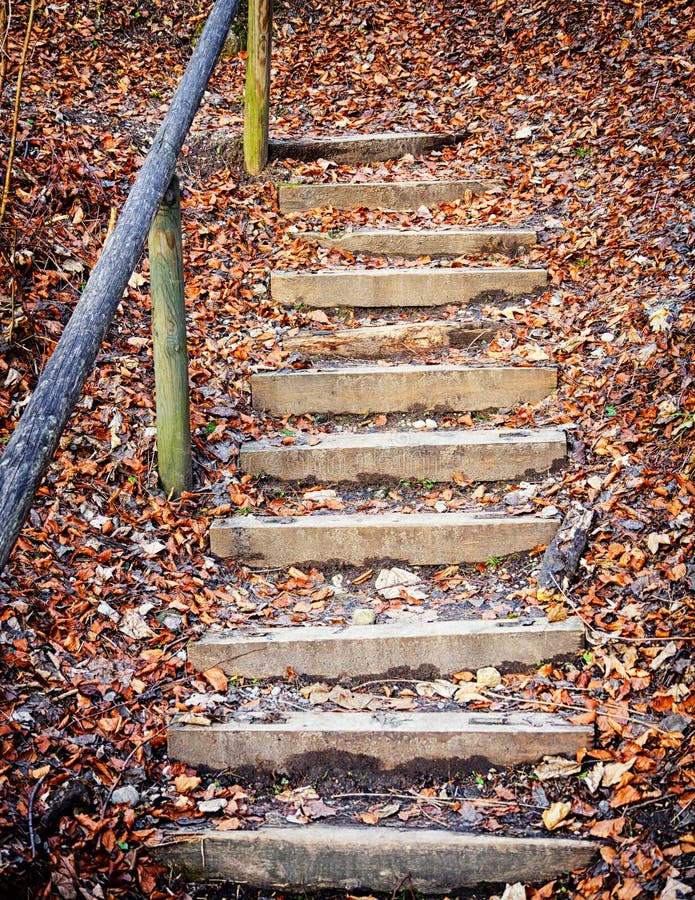 Wooden steps stock photo. Image of path, nature, curve - 31395718