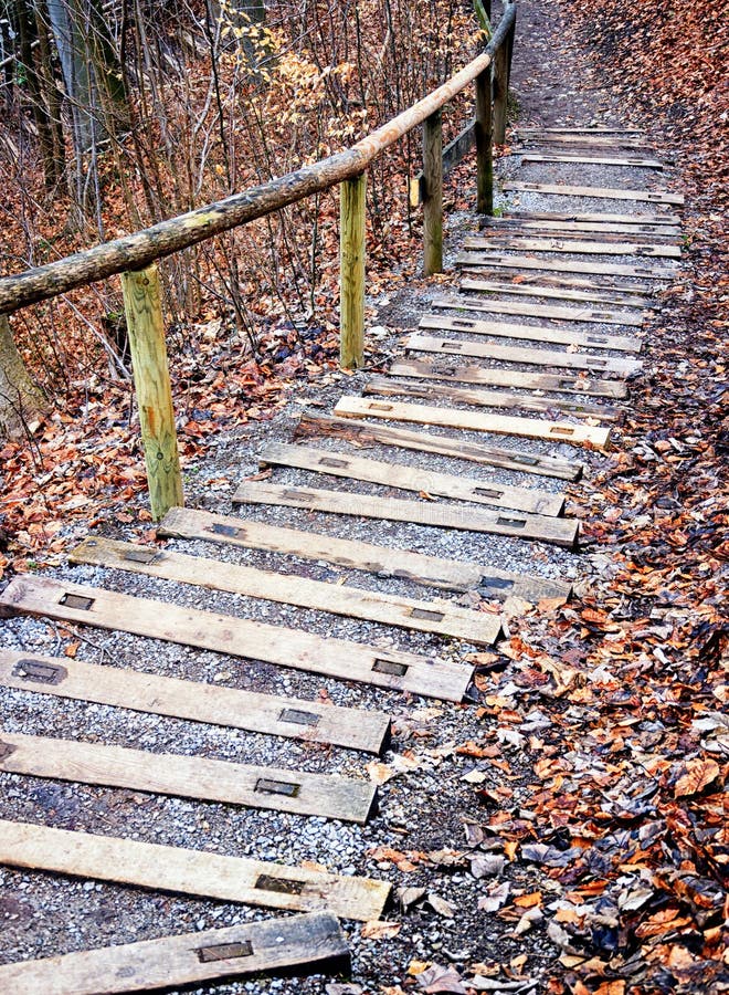 Wooden steps stock image. Image of sshape, moving, autumn - 32023915