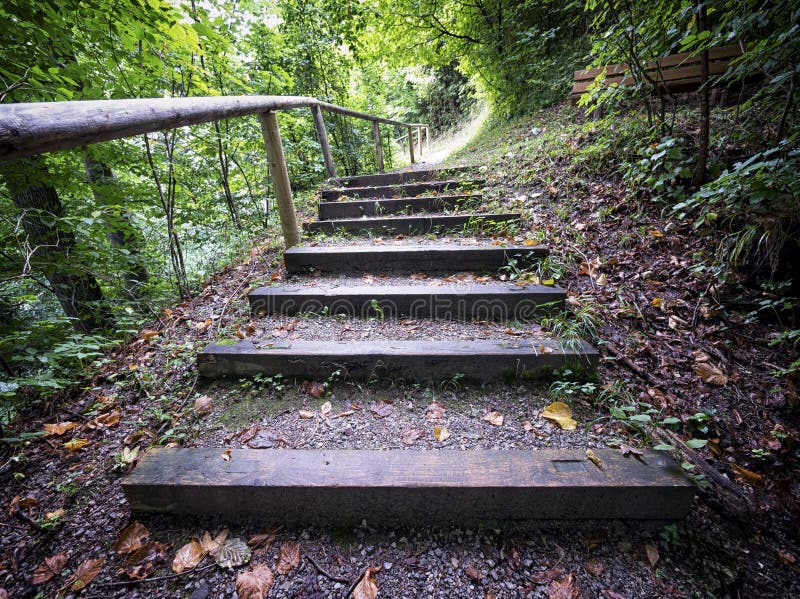 Wooden steps stock photo. Image of wood, uneven, rough - 35053774
