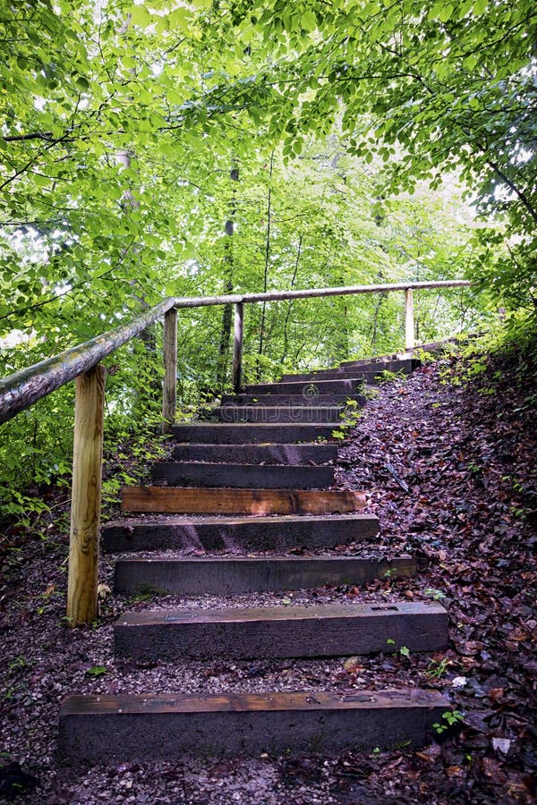 Wooden steps stock photo. Image of outdoors, trail, steps - 35128560