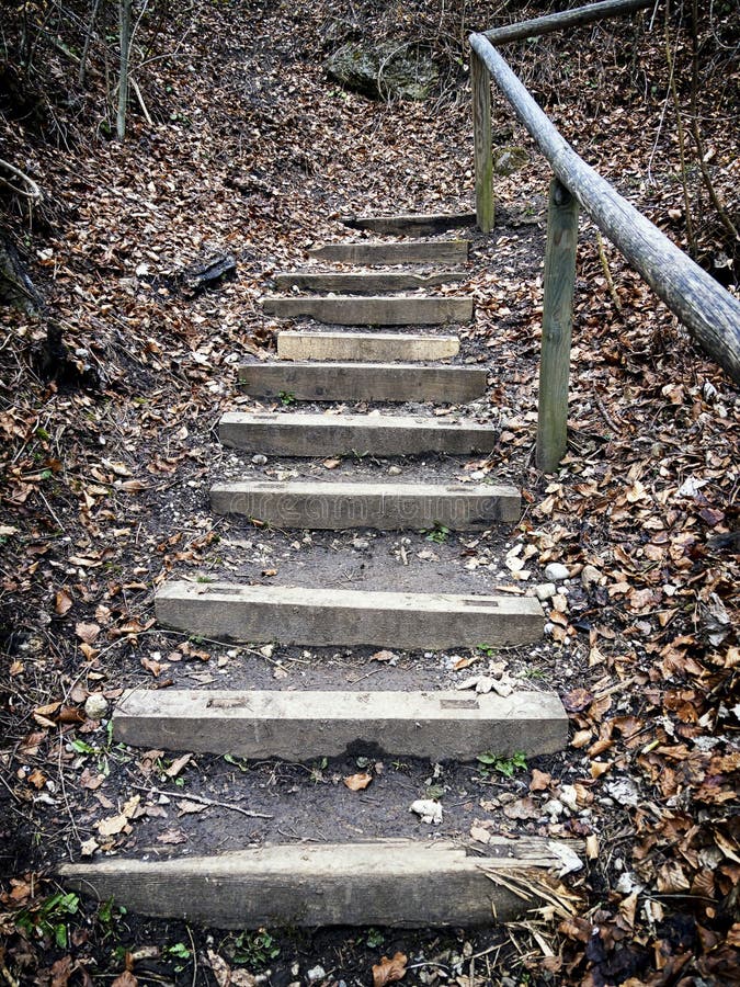Wooden steps stock photo. Image of footpath, track, forest - 35334754