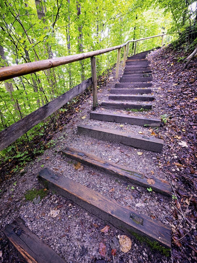 Wooden steps stock photo. Image of footpath, track, forest - 35334754