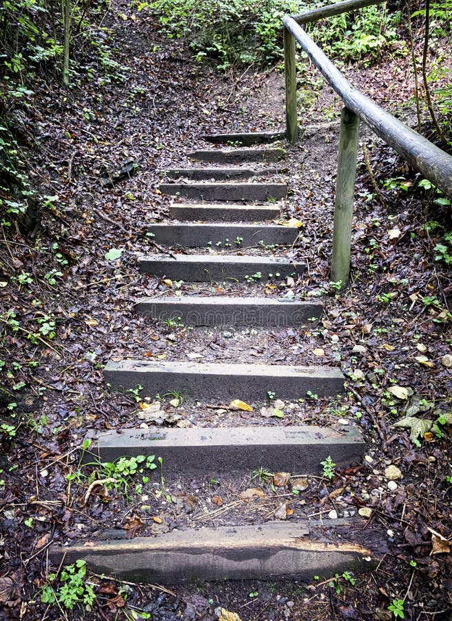 Wooden steps stock image. Image of curve, trail, autumn - 36010055