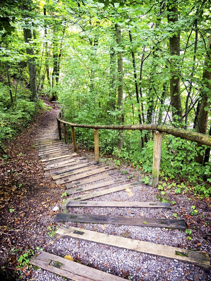 Wooden steps stock image. Image of obsolete, rundown - 36152007