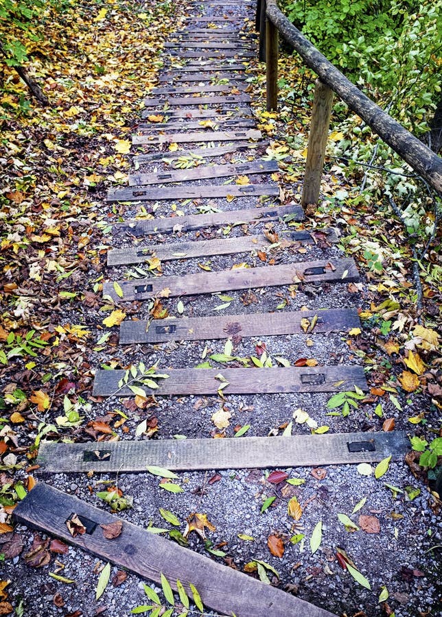 Wooden steps stock image. Image of obsolete, uneven, forest - 36190023