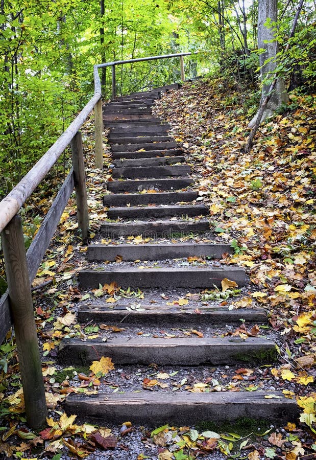 Wooden steps stock image. Image of path, rundown, hill - 36319993