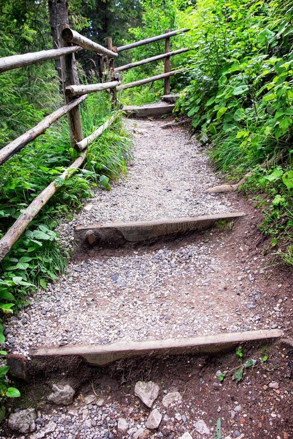 Wooden steps stock photo. Image of footpath, track, forest - 35334754