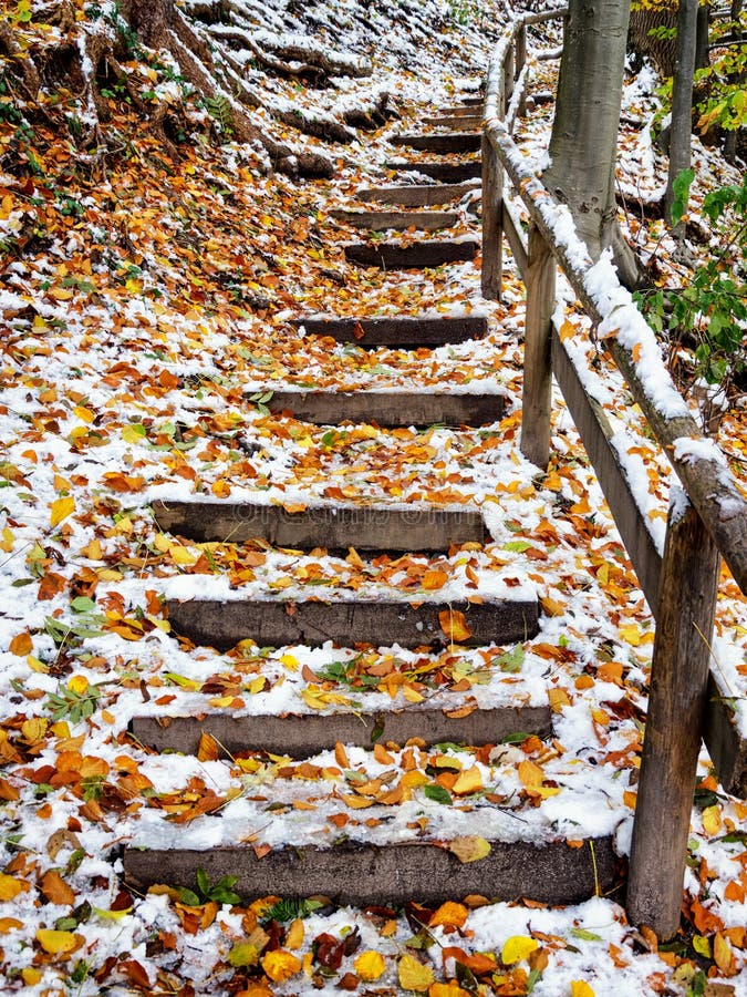Wooden steps stock image. Image of handrail, track, curve - 49429197