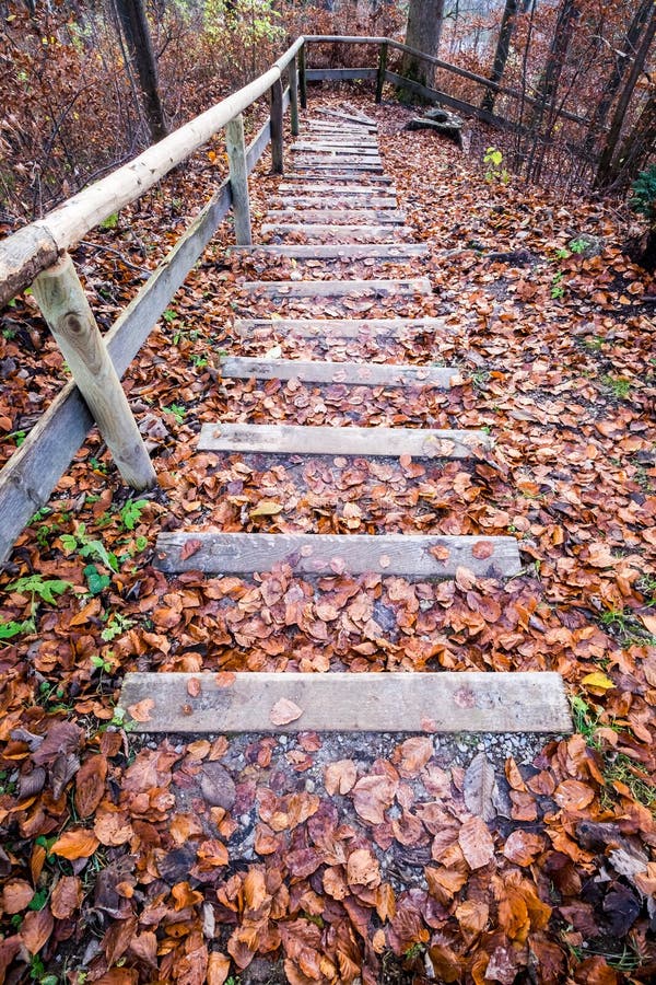 Wooden steps stock image. Image of obsolete, nature, green - 72351217